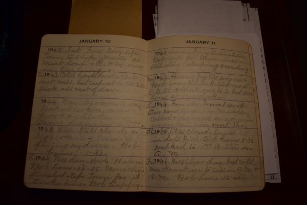 Lil's Diary week Jan 15 - 21 and Part two Finding Calm - Living Like ...