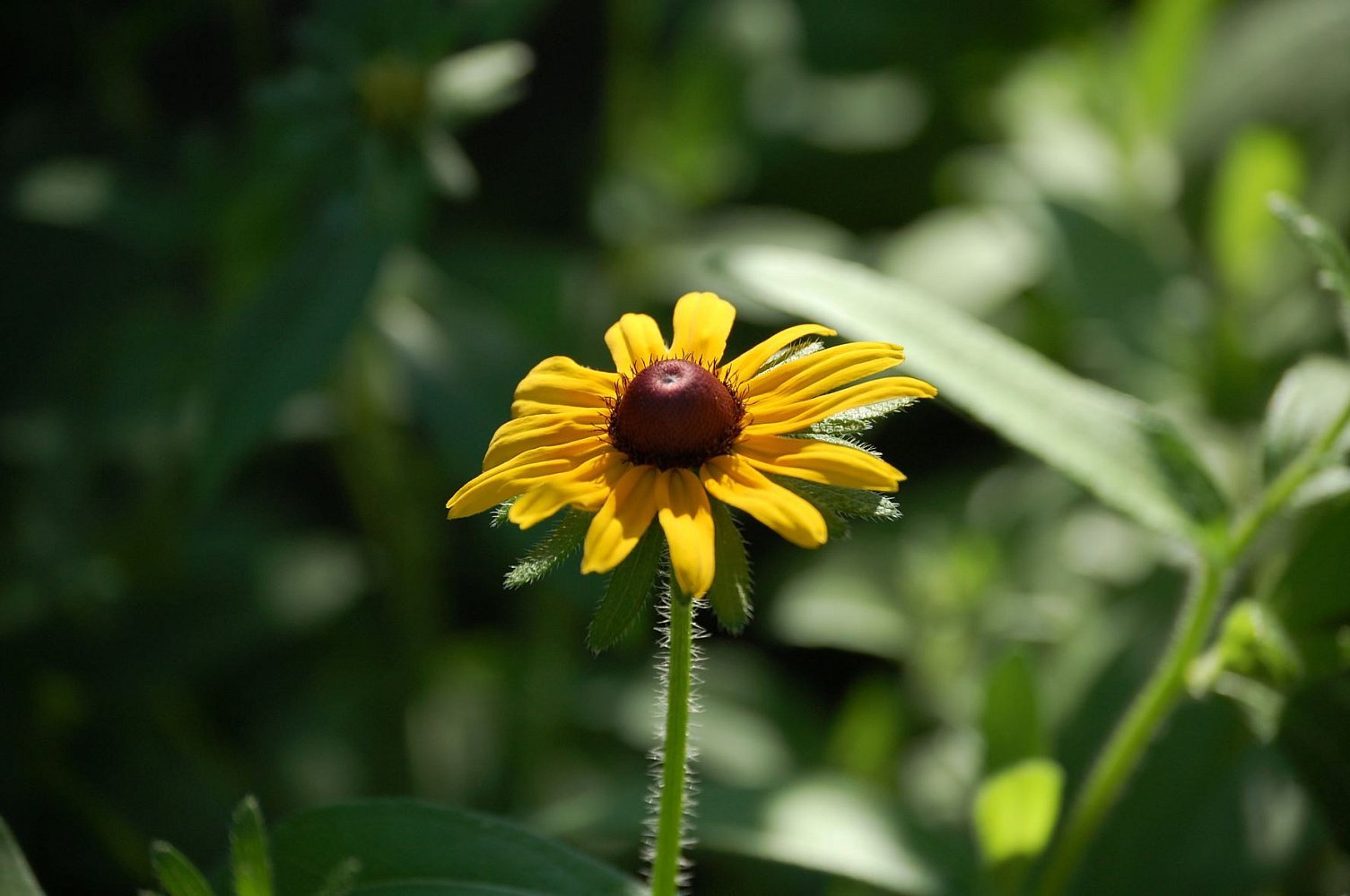 The Great Turn Around - Living Like the Past - gDonna's Generations ...